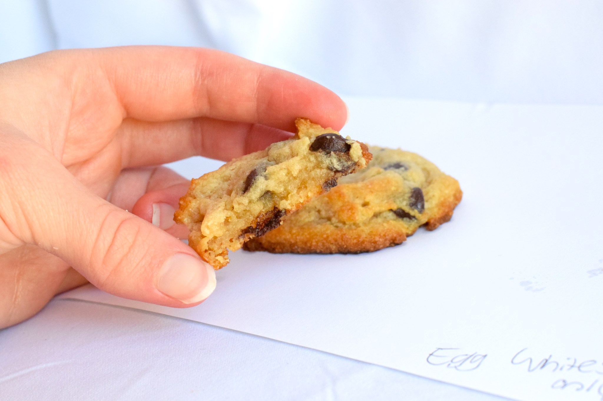 keto psyllium husk chocolate chip cookies - Mouthwatering Motivation