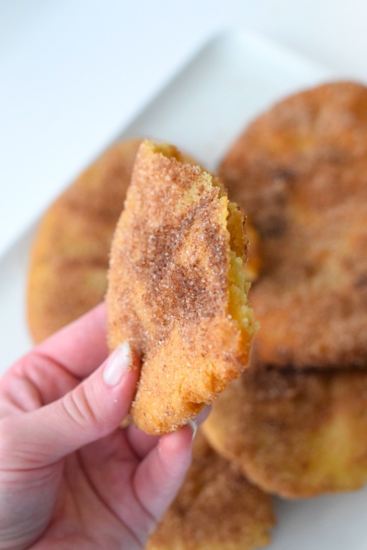 Keto Beaver Tails (Fried Dough) - Mouthwatering Motivation